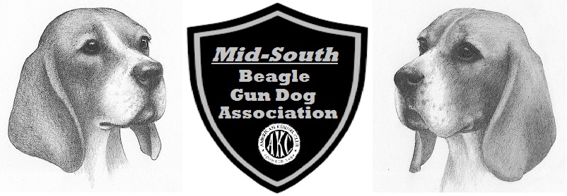 Main – Welcome to the MidSouth Beagle Gun Dog Federation
