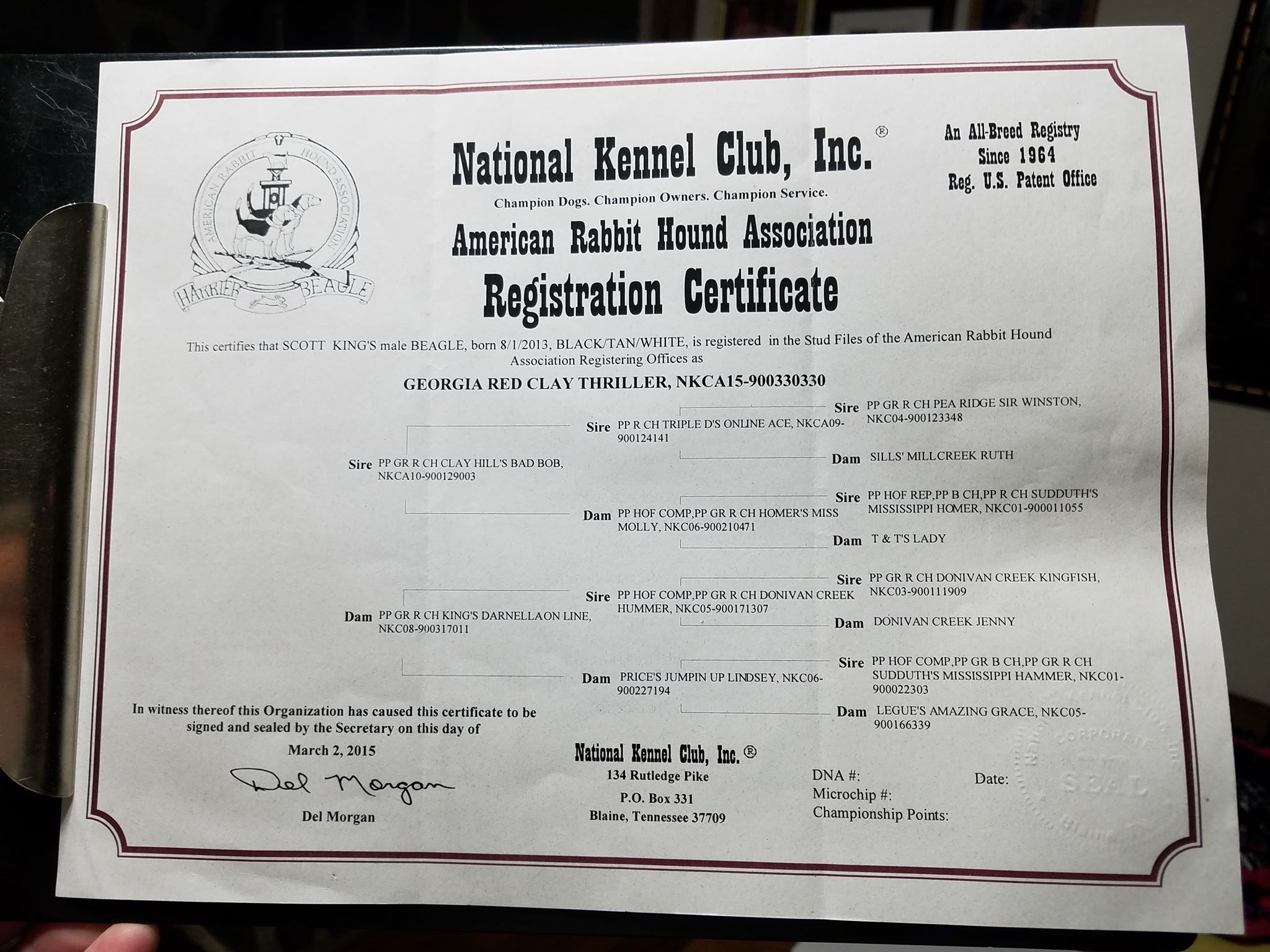 FCGD Georgia Red Clay Thriller – Main