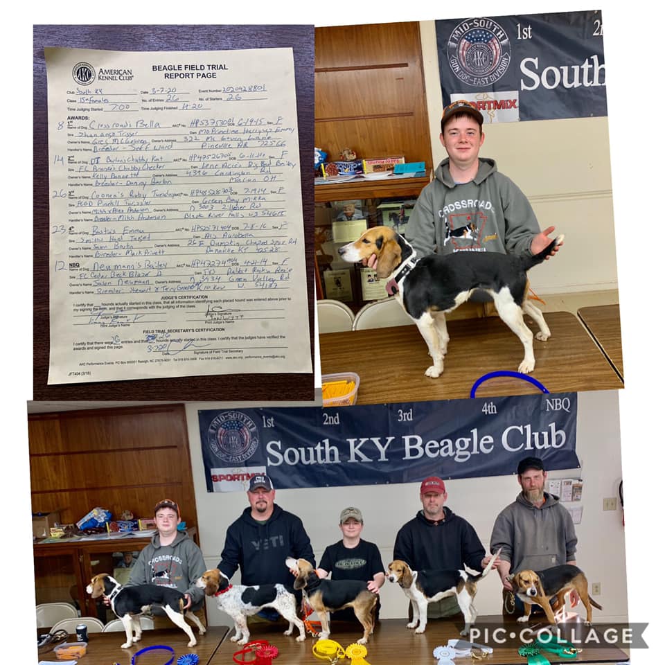 FCGD Crossroads Bella – Main