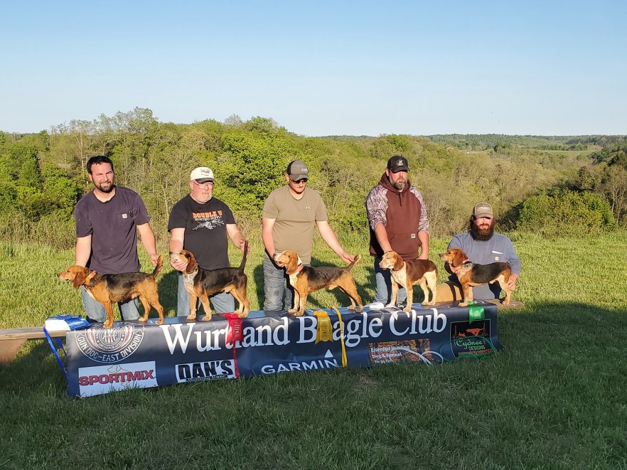 FCGD Ace’s Up Dew – Main