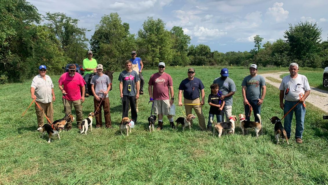 Main – Welcome to the MidSouth Beagle Gun Dog Federation